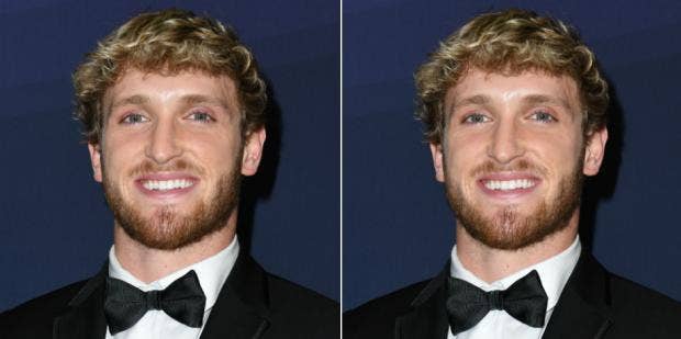 Is Logan Paul Gay New Details On Logan Pauls Sex Tape And Rumors Hes Gay Yourtango